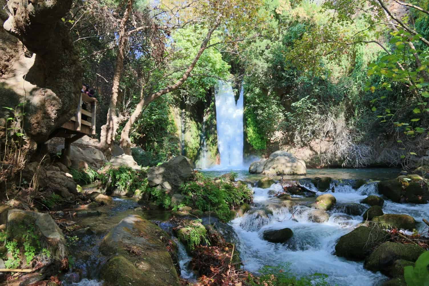 Banias Nature Reserve – The Banias Springs | tour golan